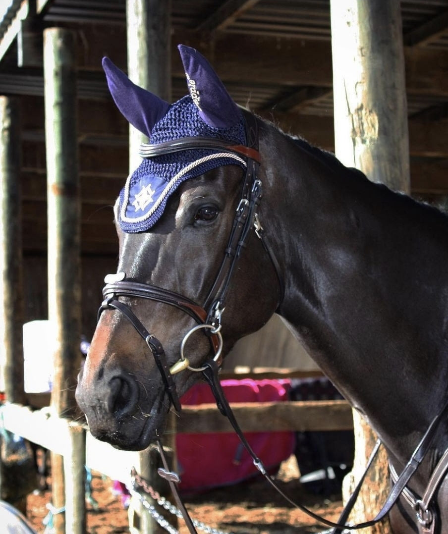 OPUS - working bridle – Centaurion Park