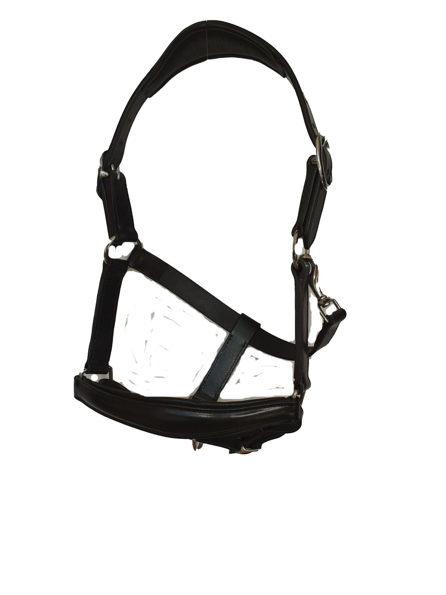 LEATHER HALTER – Centaurion Park